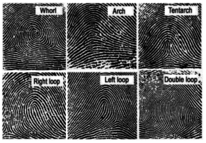 SaH: Fingerprint Investigation – Reading Science Center