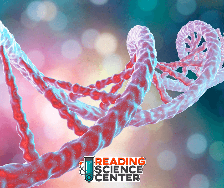 Events – Reading Science Center