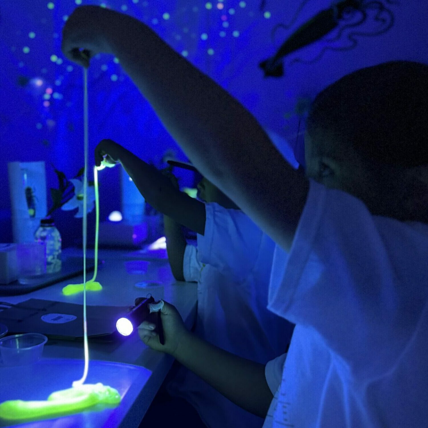 Neag Foundation Grant Expands Reading Science Center Field Trip Program ...